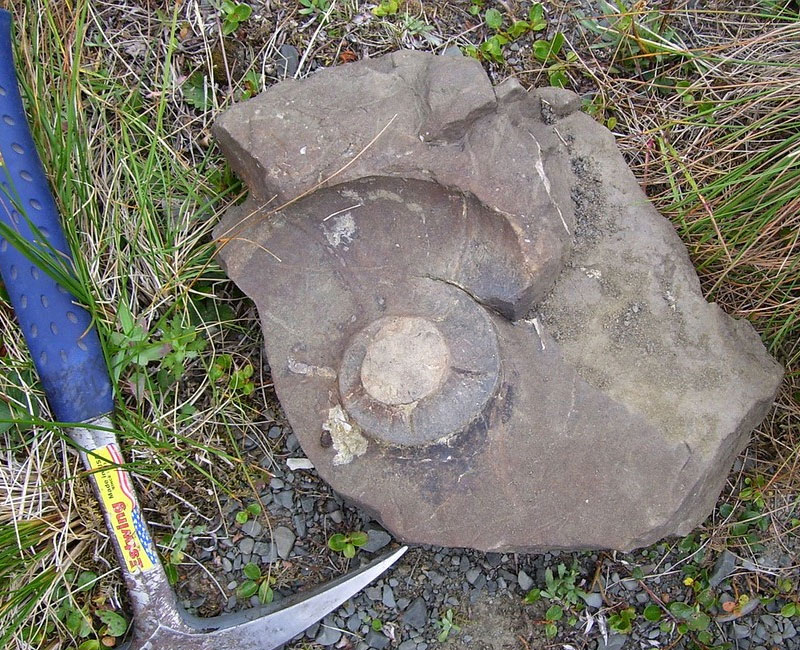 Earth and Environmental Sciences (B.S.) | The University of New Orleans